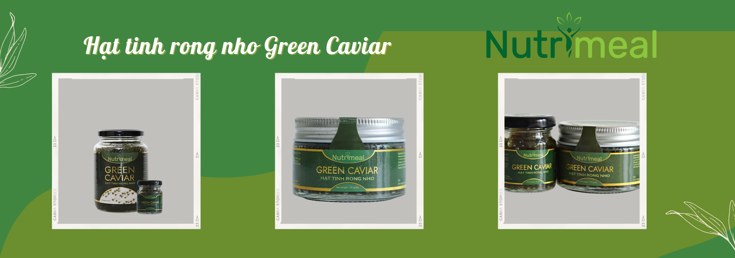 Trang chủ - CÔNG TY TNHH NUTRIMEAL VN